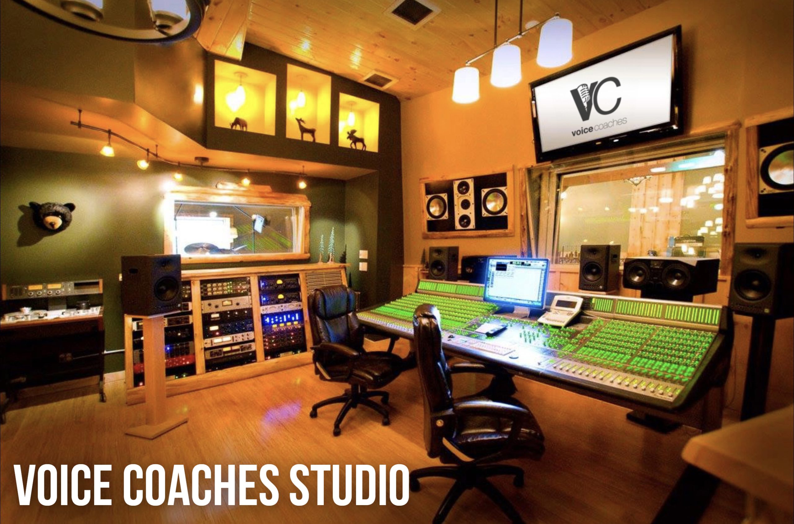 Getting Paid to Talk | An Intro to Voice Over : Voice Over Training ...